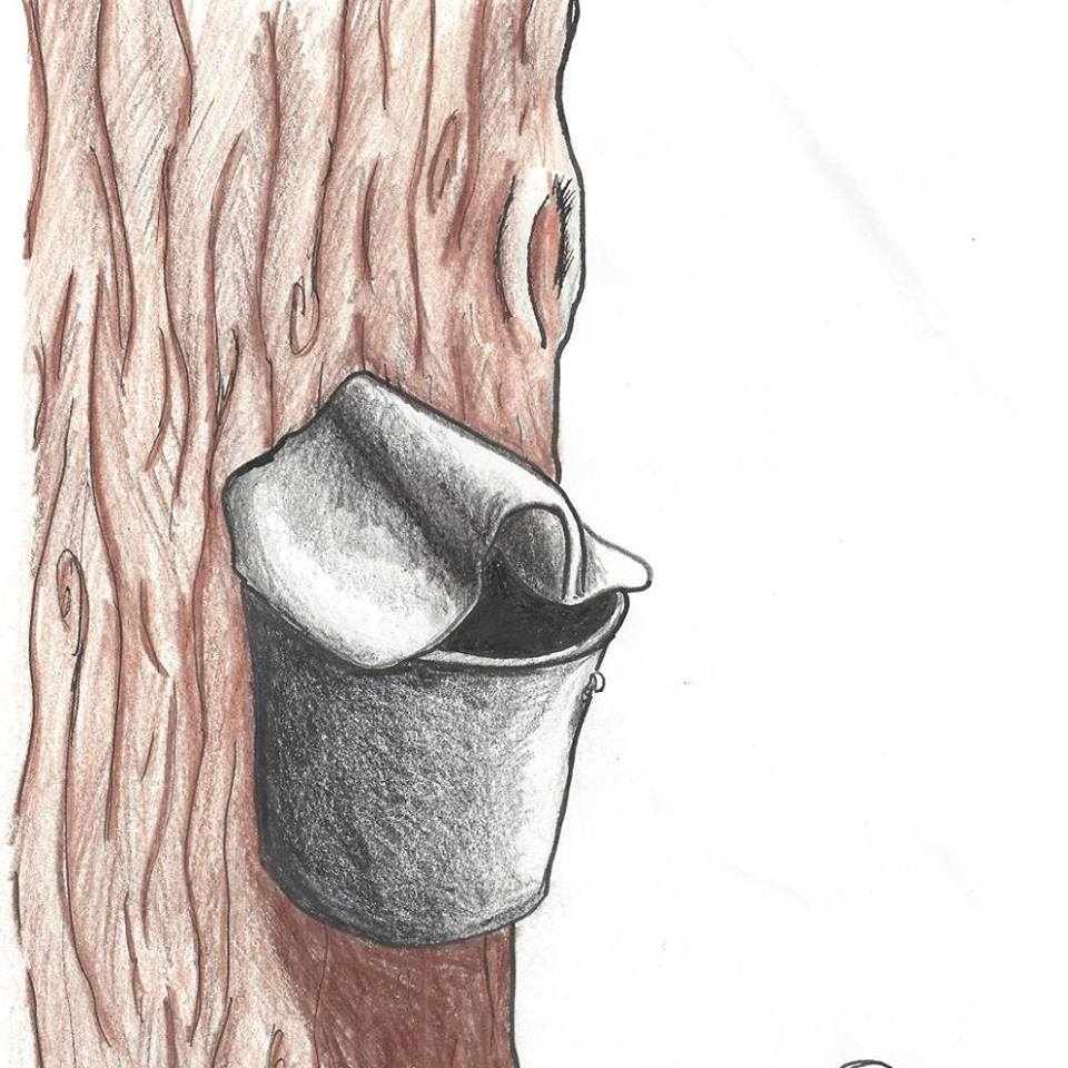 International Maple Museum Centre - New York State Maple Producers ...